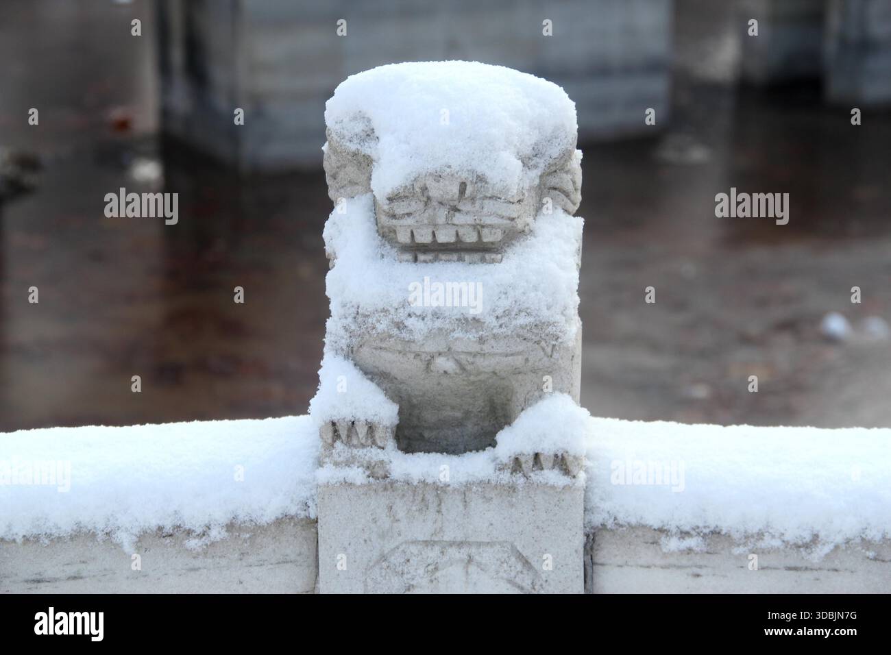 Snow scenery in Weihai City, east China's Shandong Province, 14 ...