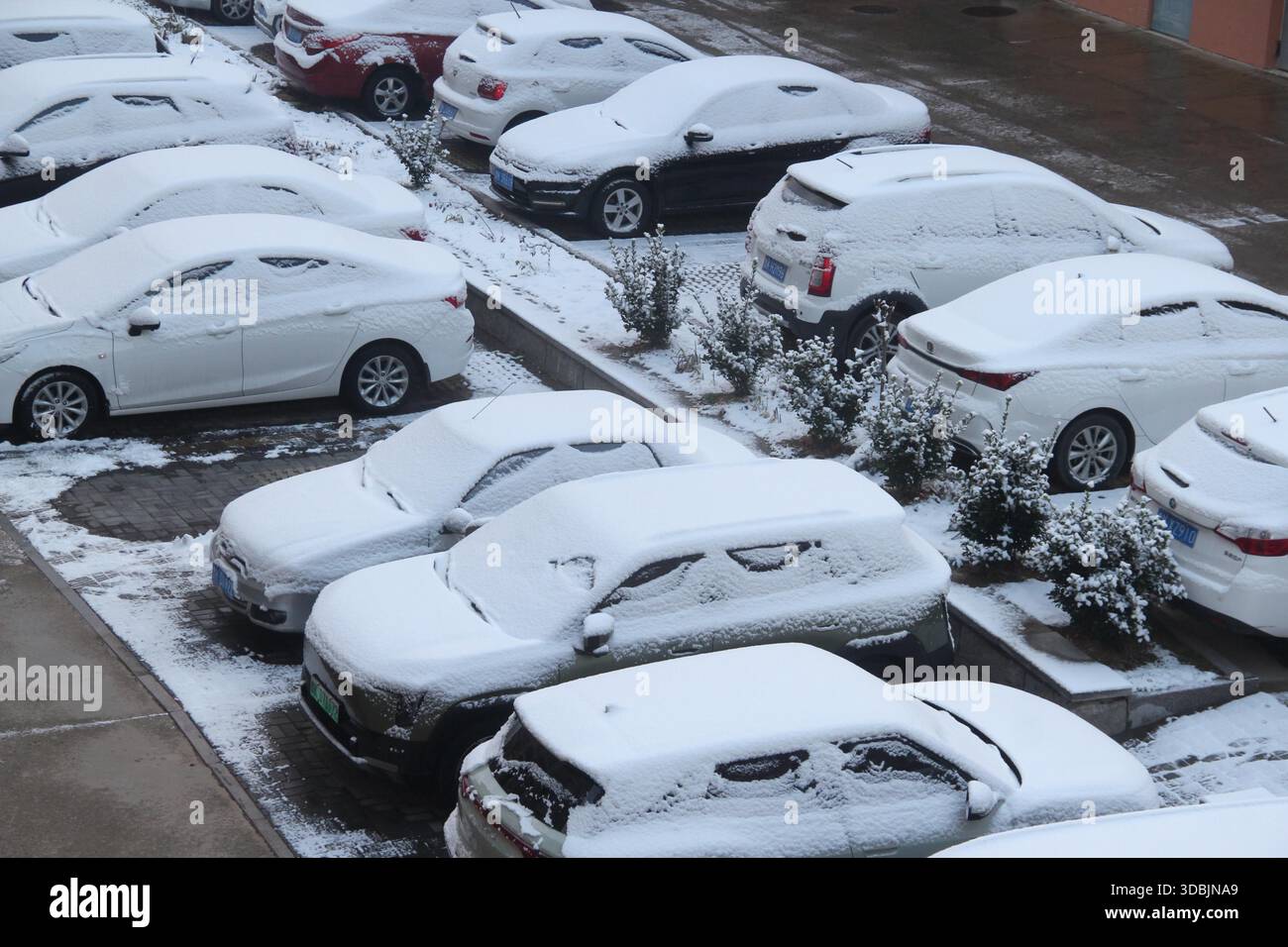 Snow scenery in Weihai City, east China's Shandong Province, 14 ...