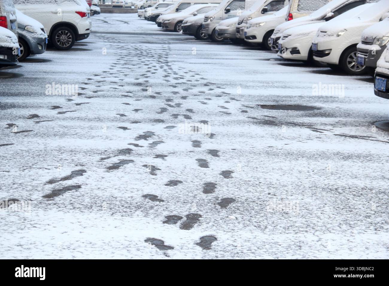 Snow scenery in Weihai City, east China's Shandong Province, 14 ...