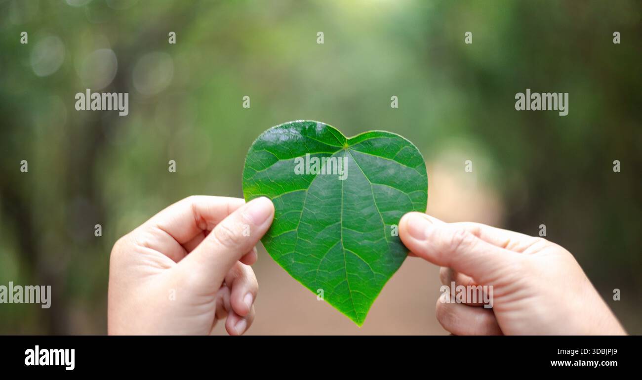 Green leaf in her hand was a symbol of love for nature, representing ...