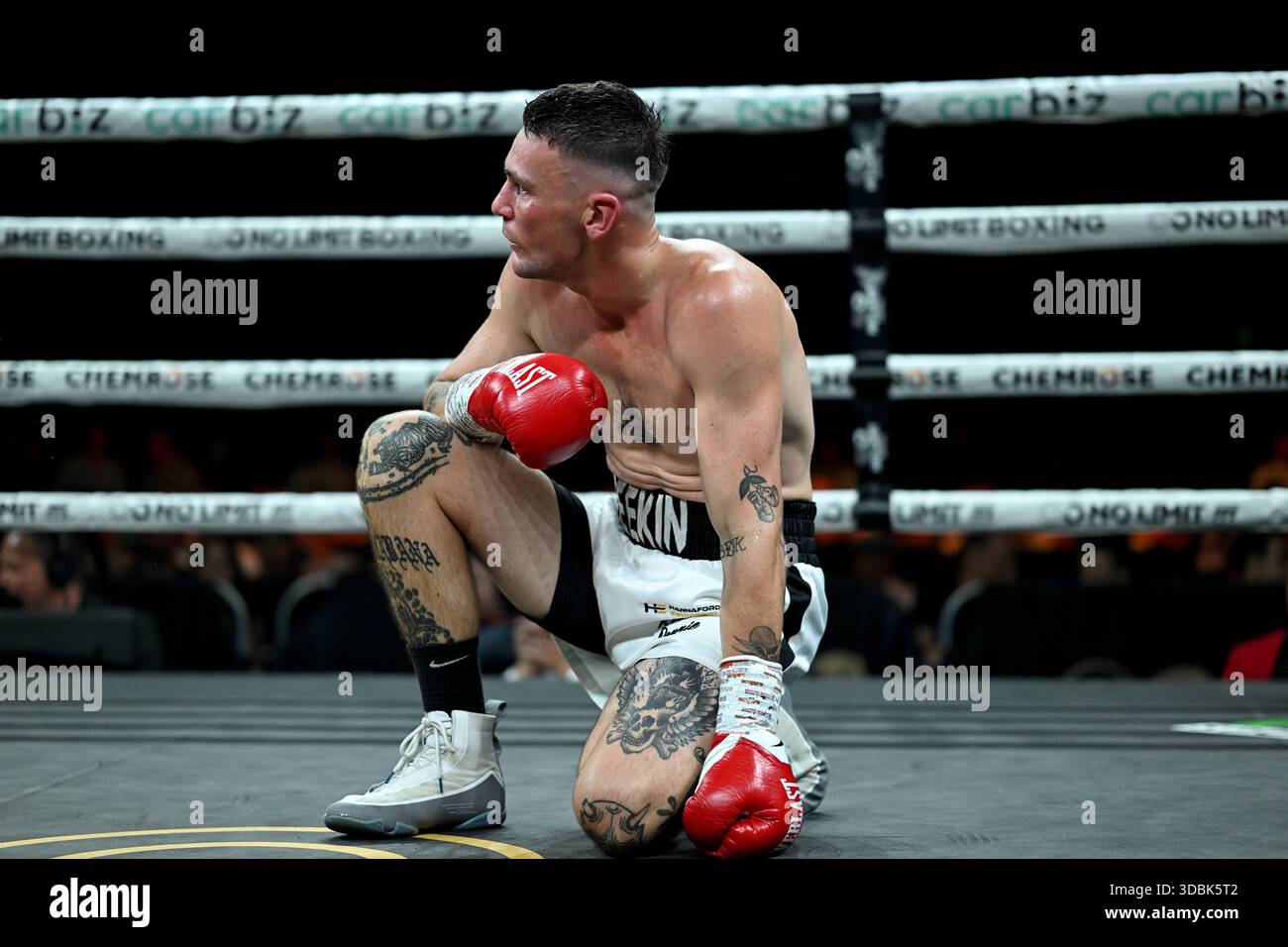 Cody Beekin during his loss to Callum Peters during their Australian ...
