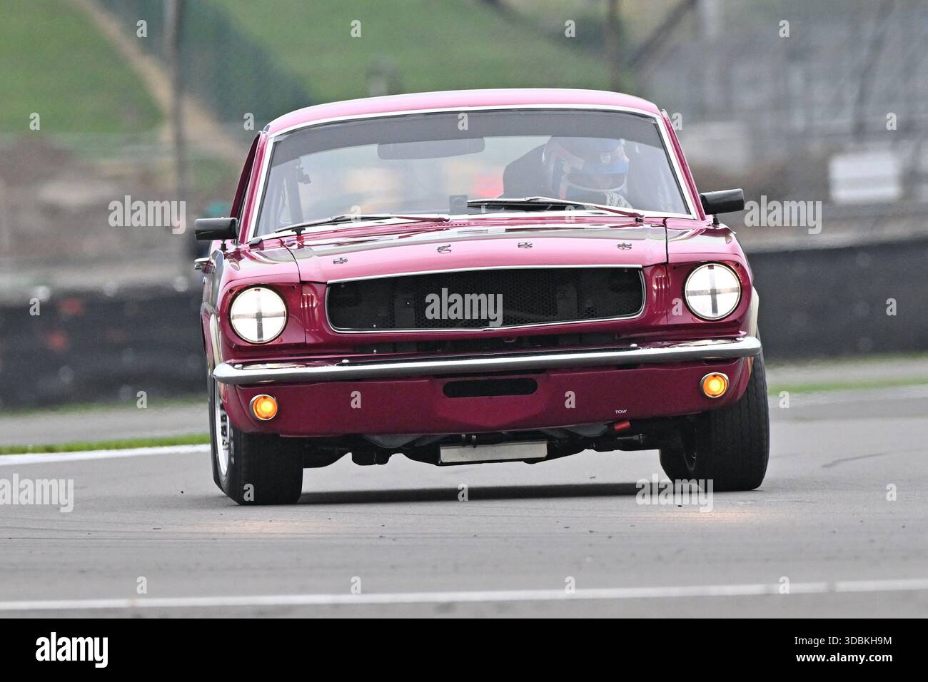 Sam Tordoff, Ford Mustang, HRDC Jack Sears Trophy for 1958-1966 Touring ...