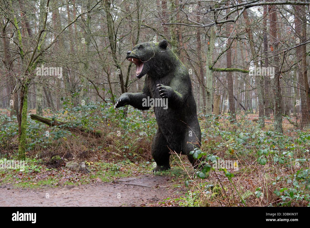 Replica of a cave bear, at 3.20 m tall the largest land predator that ...