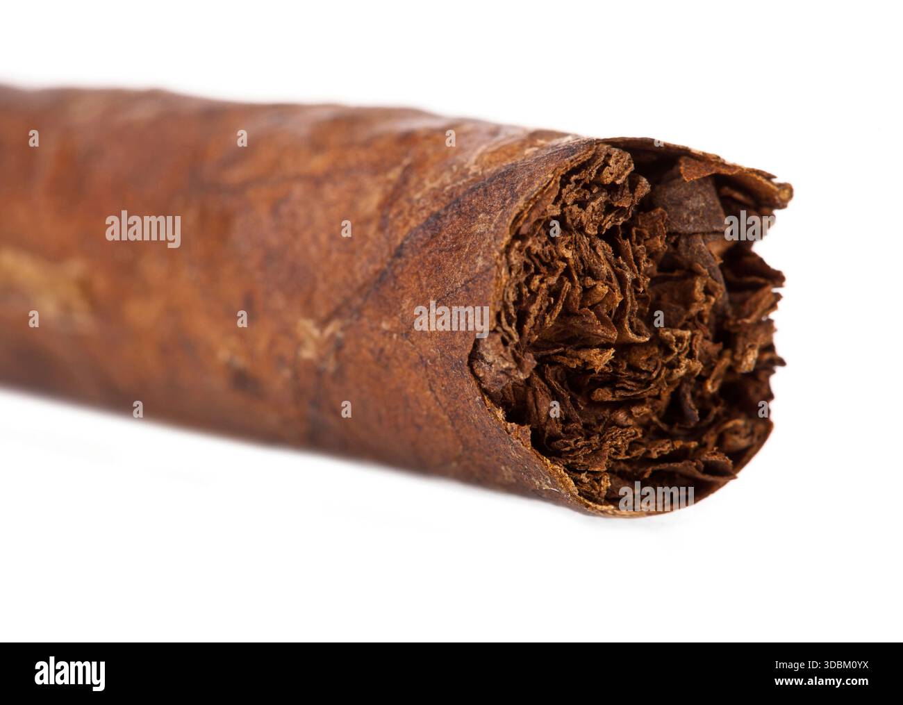 Pure snuff cigar isolated on white Stock Photo - Alamy
