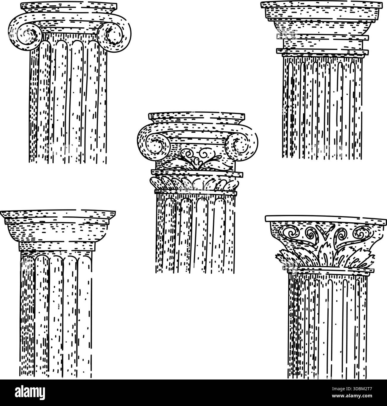Classical columns displaying ancient architecture styles engraving ...