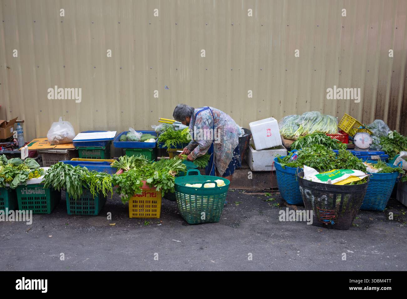 An elderly lady at her vegetable stall at a fresh market in Bangkok ...