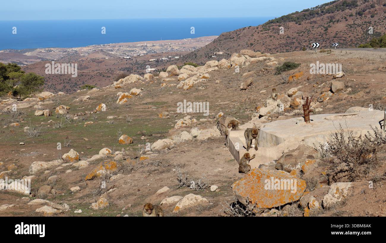 Mount Gurugu - Gourougou (Nador Province, Oriental region, Kingdom of ...