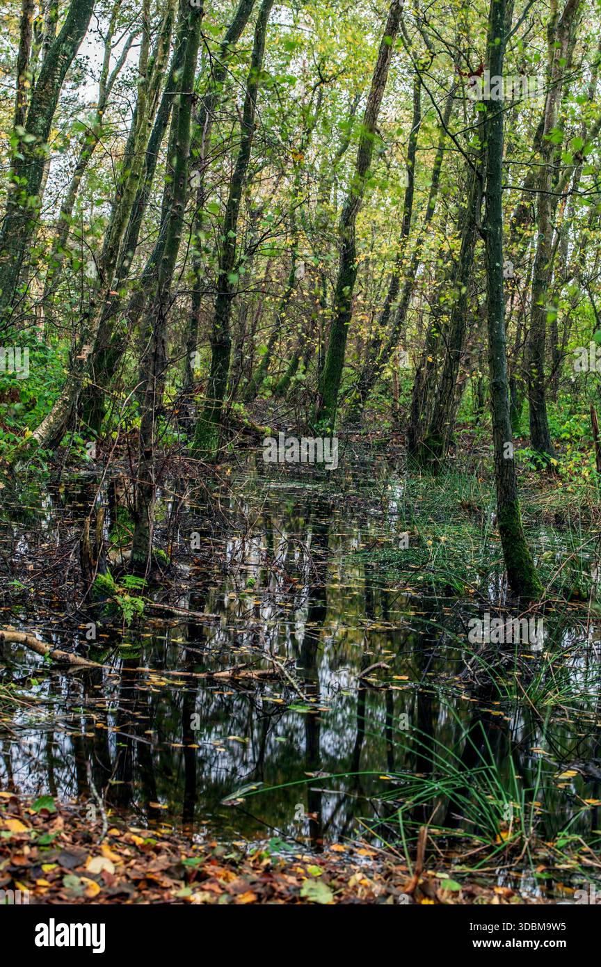 Natural conservation areas hi-res stock photography and images - Alamy