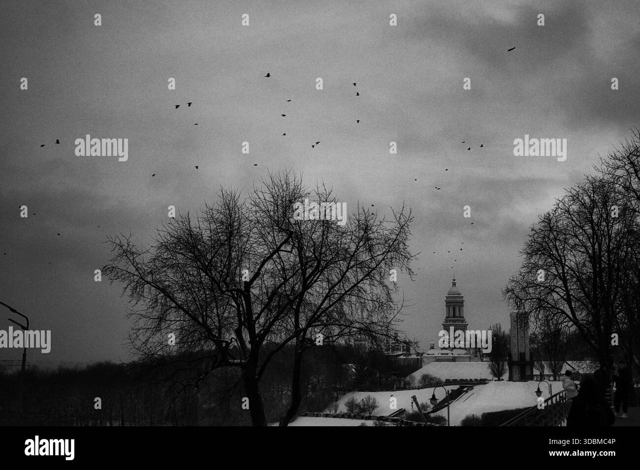 Christmas background lamp decorations Black and White Stock Photos ...