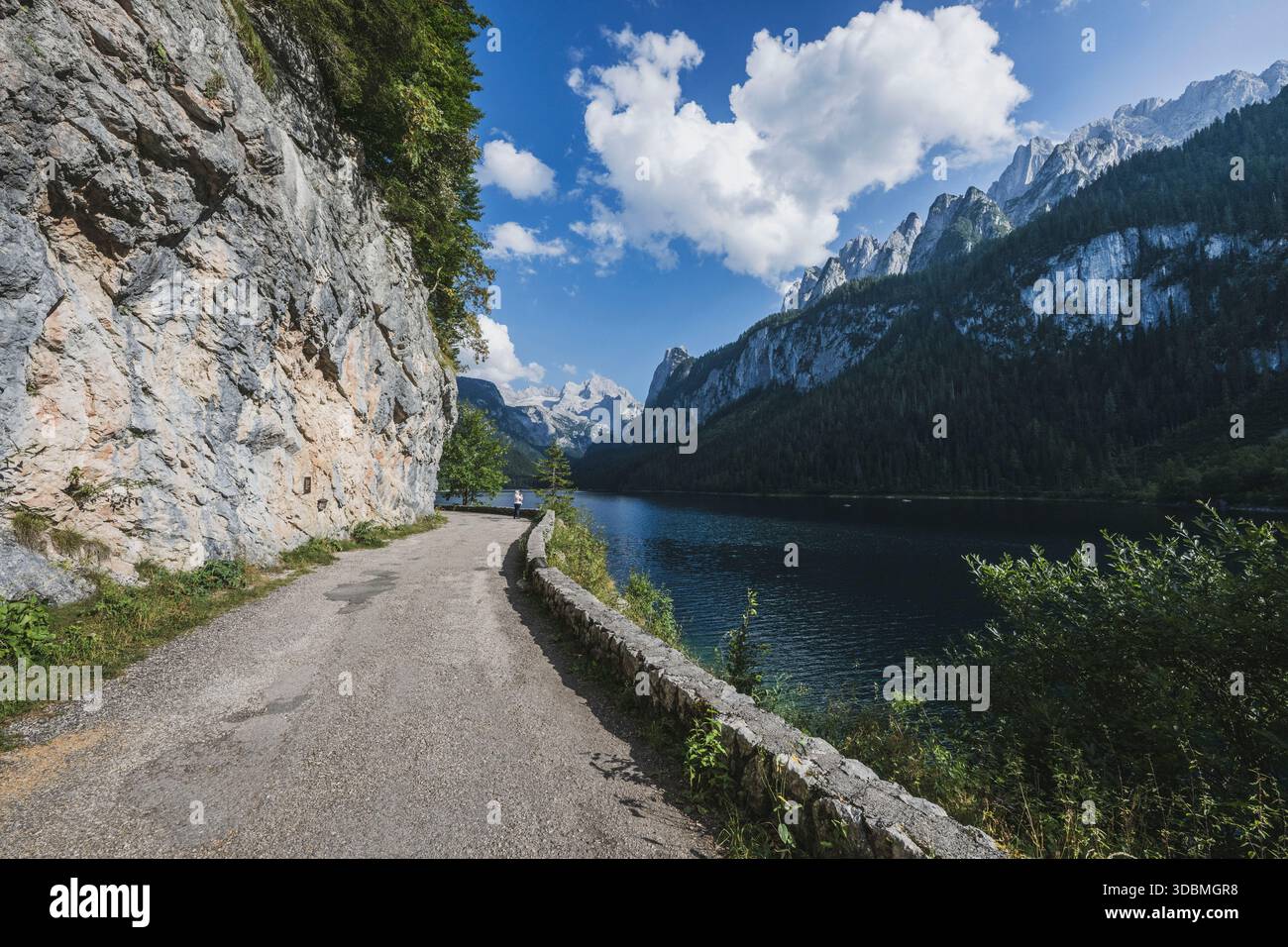 Forest road and hiking trail along the vorderer gosausee hi-res stock ...