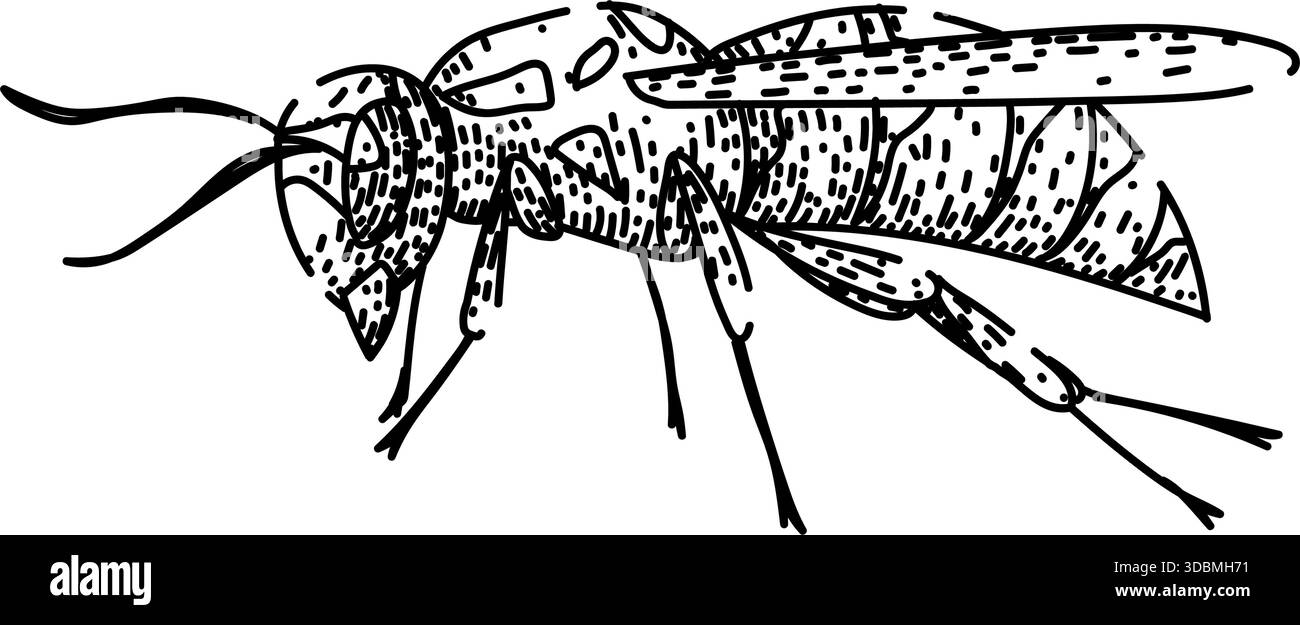 Wasp insect etching drawing style illustration Stock Vector Image & Art ...