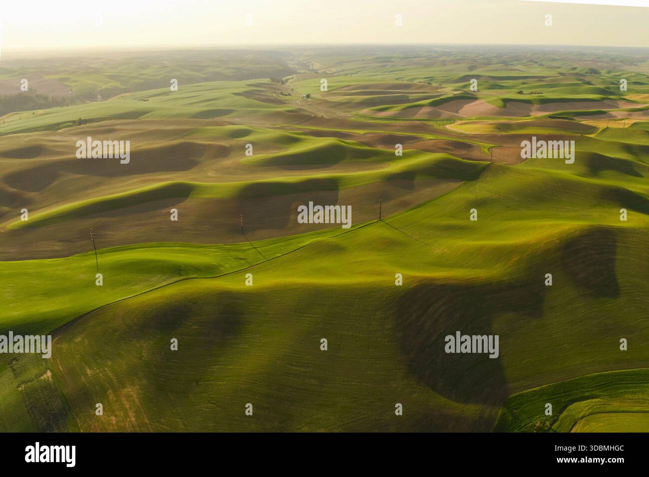 Agriculture fields in different stages of growth from above create ...