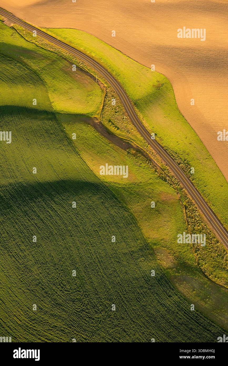Agriculture fields in different stages of growth from above create ...