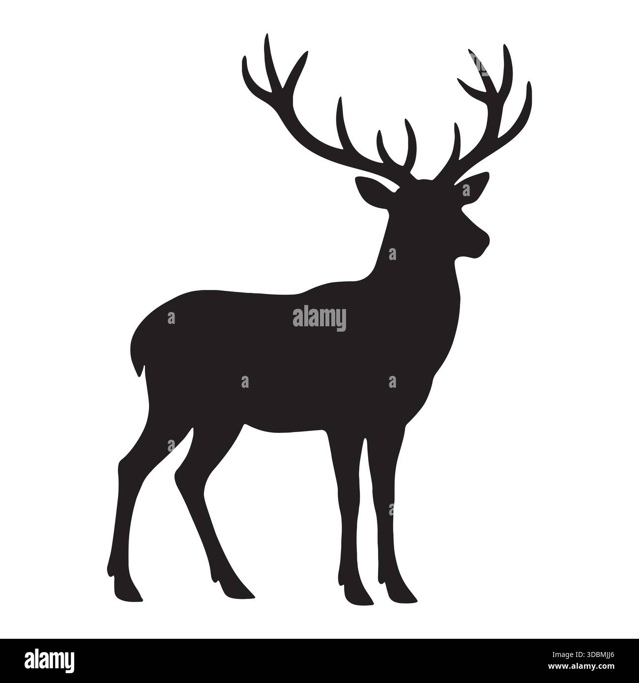 Animal and wildlife park Cut Out Stock Images & Pictures - Alamy