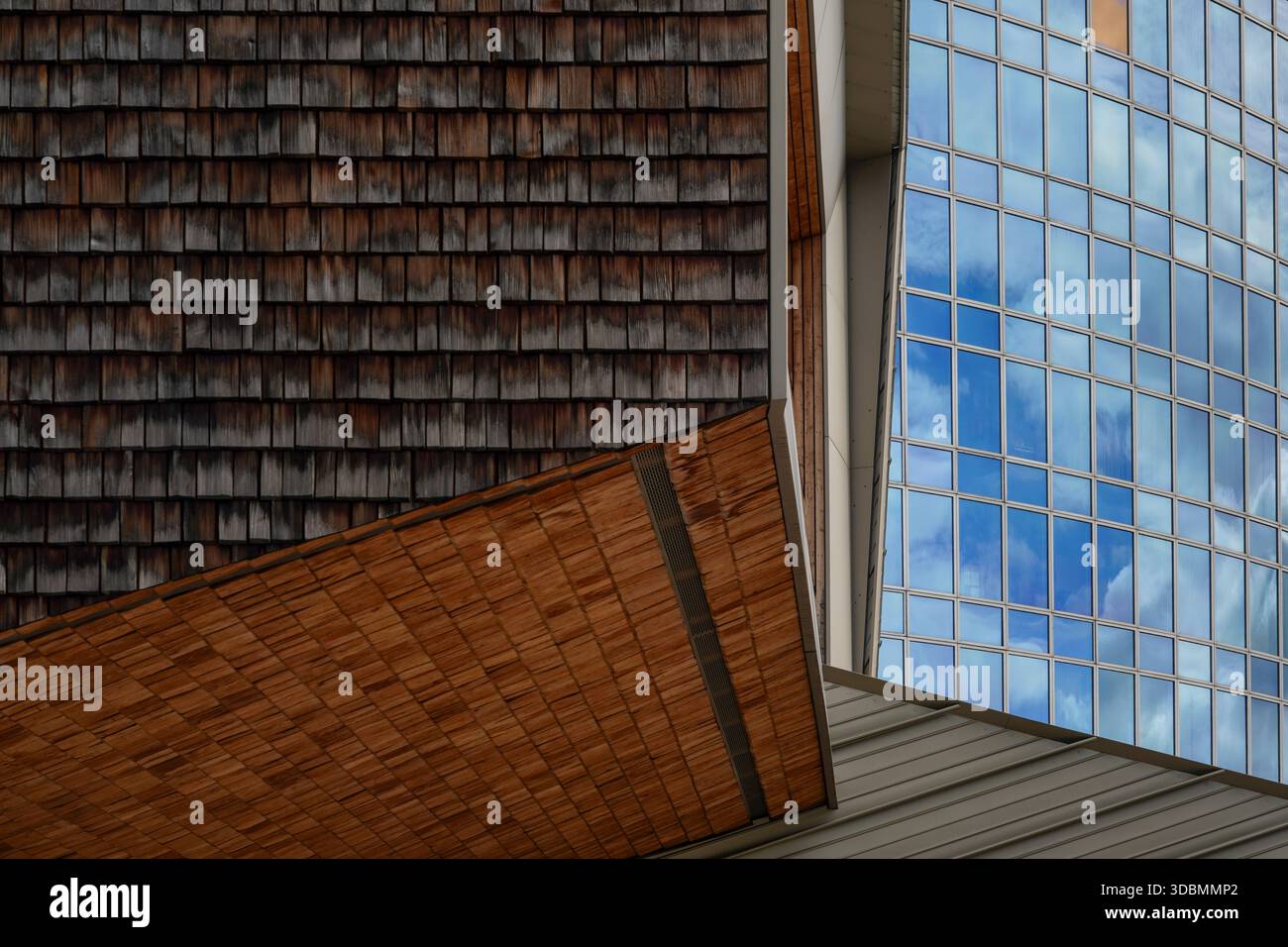 Timber Meets Tech: An Architectural Dialogue. At the WIPO complex in ...