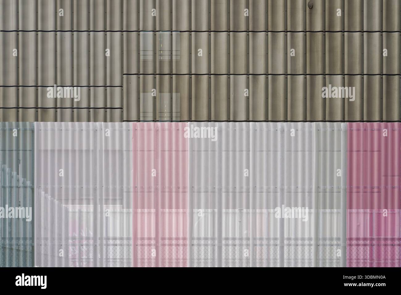 Chromatic Harmony: Contrast of Purpose. The facade of the Federal ...