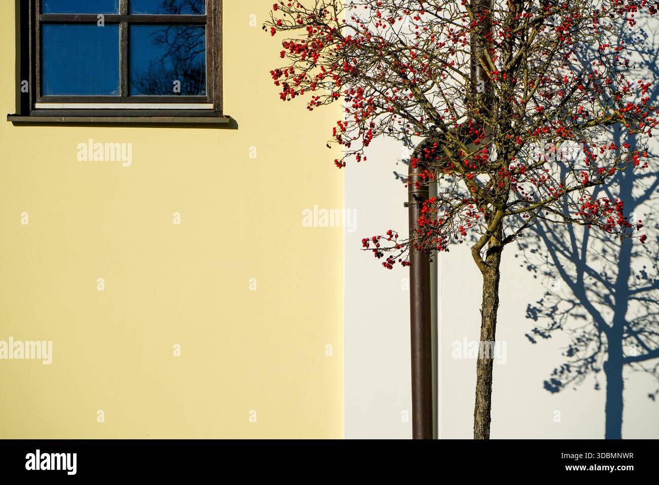 Ismaning, Germany, A two-colored wall with yellow and white surfaces ...