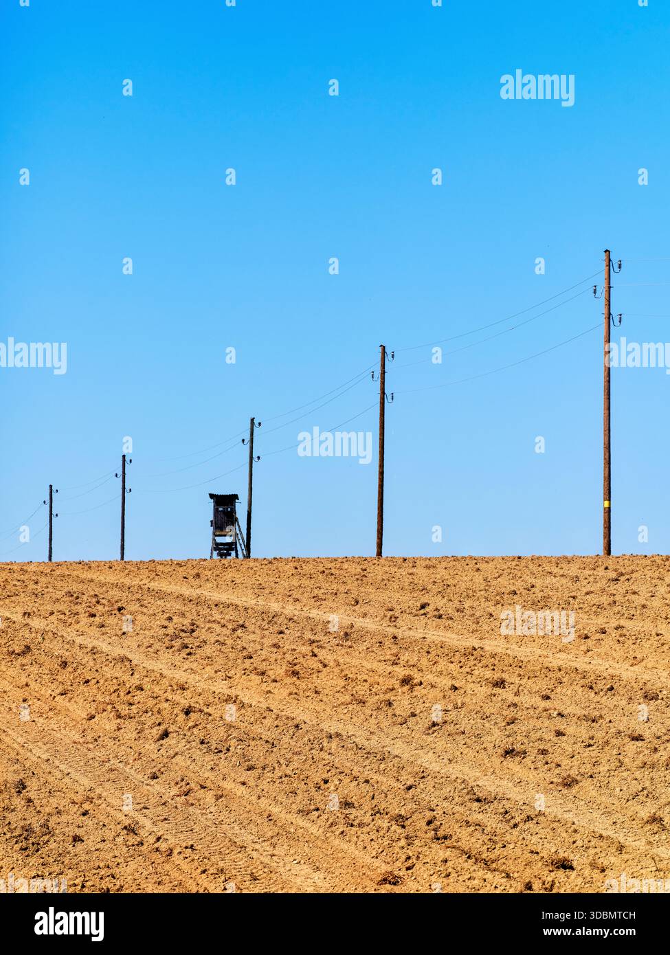 Power line with raised hide in the cultural landscape, Augsburger Land ...