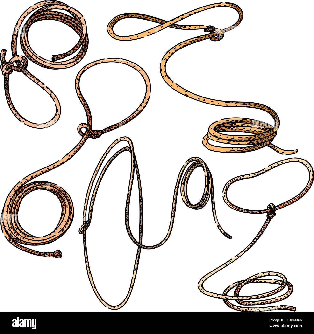 Hand drawn collection of lasso ropes and knots Stock Vector Image & Art ...