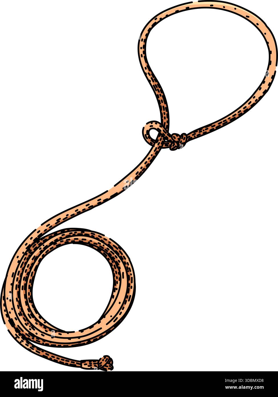 Lasso rope showing a slip knot and loop Stock Vector Image & Art - Alamy