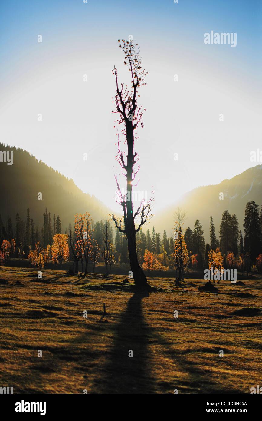 Hills in shadow as sun sets hi-res stock photography and images - Alamy