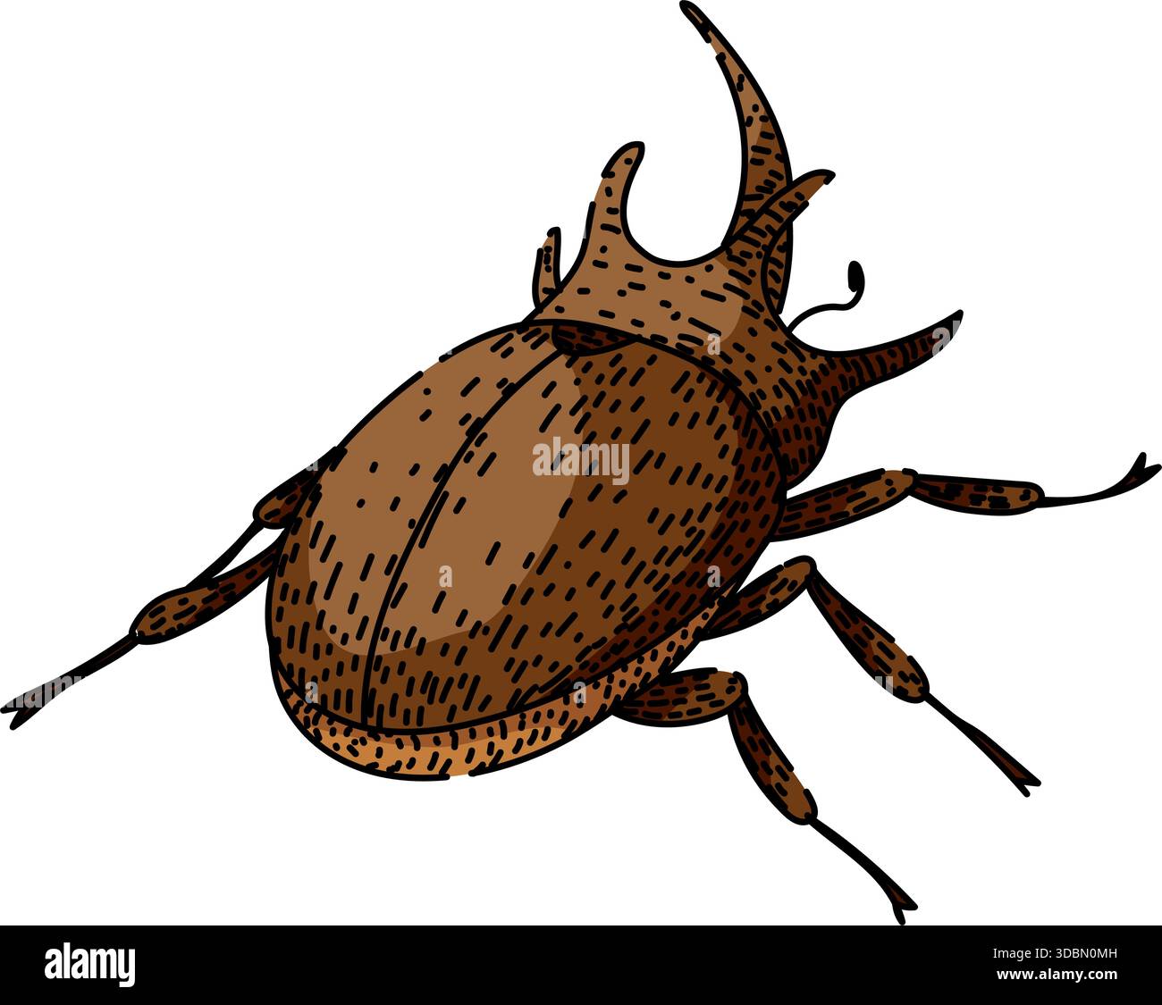 Animal and species study Stock Vector Images - Alamy