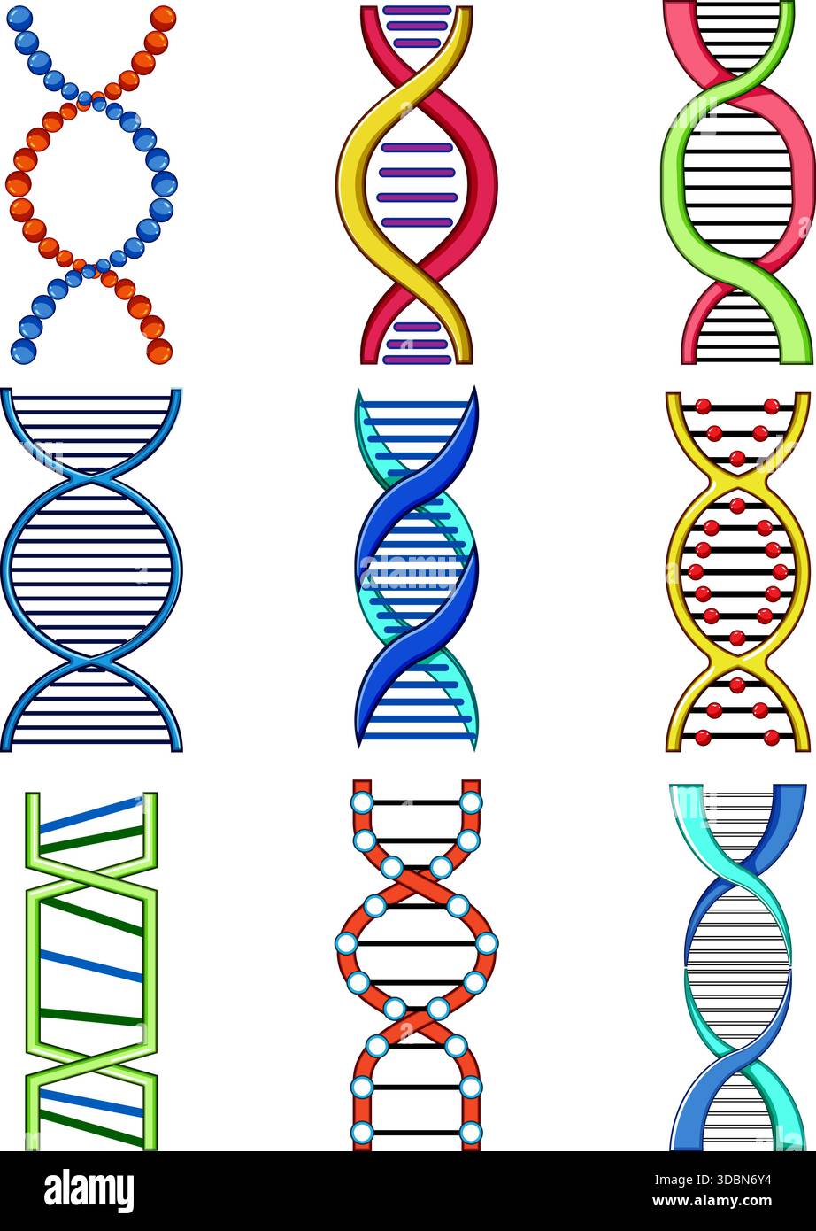 Dna helix structures genomics Stock Vector Images - Alamy