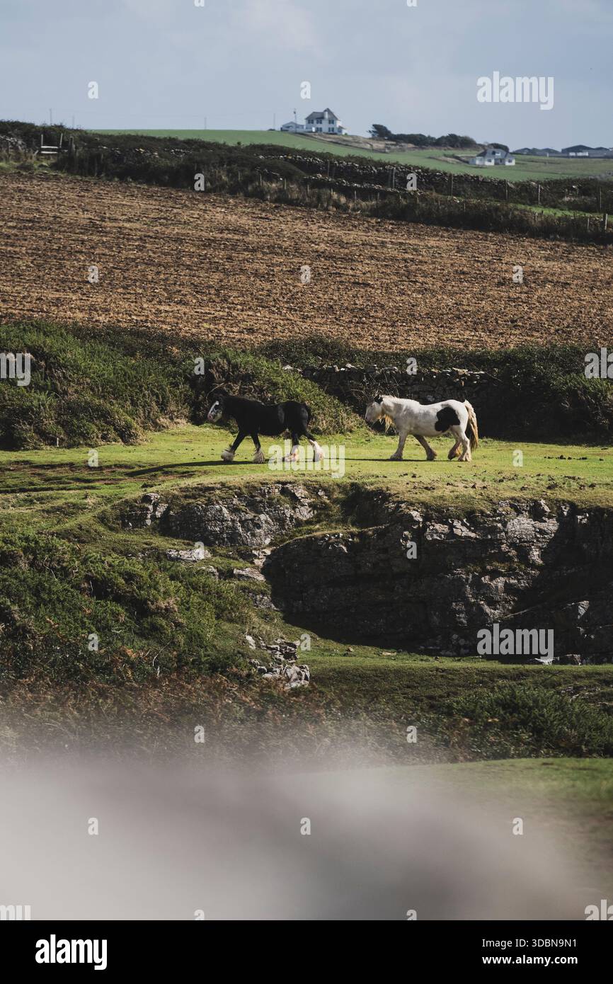 The spectacular coastal path to worms head hi-res stock photography and ...