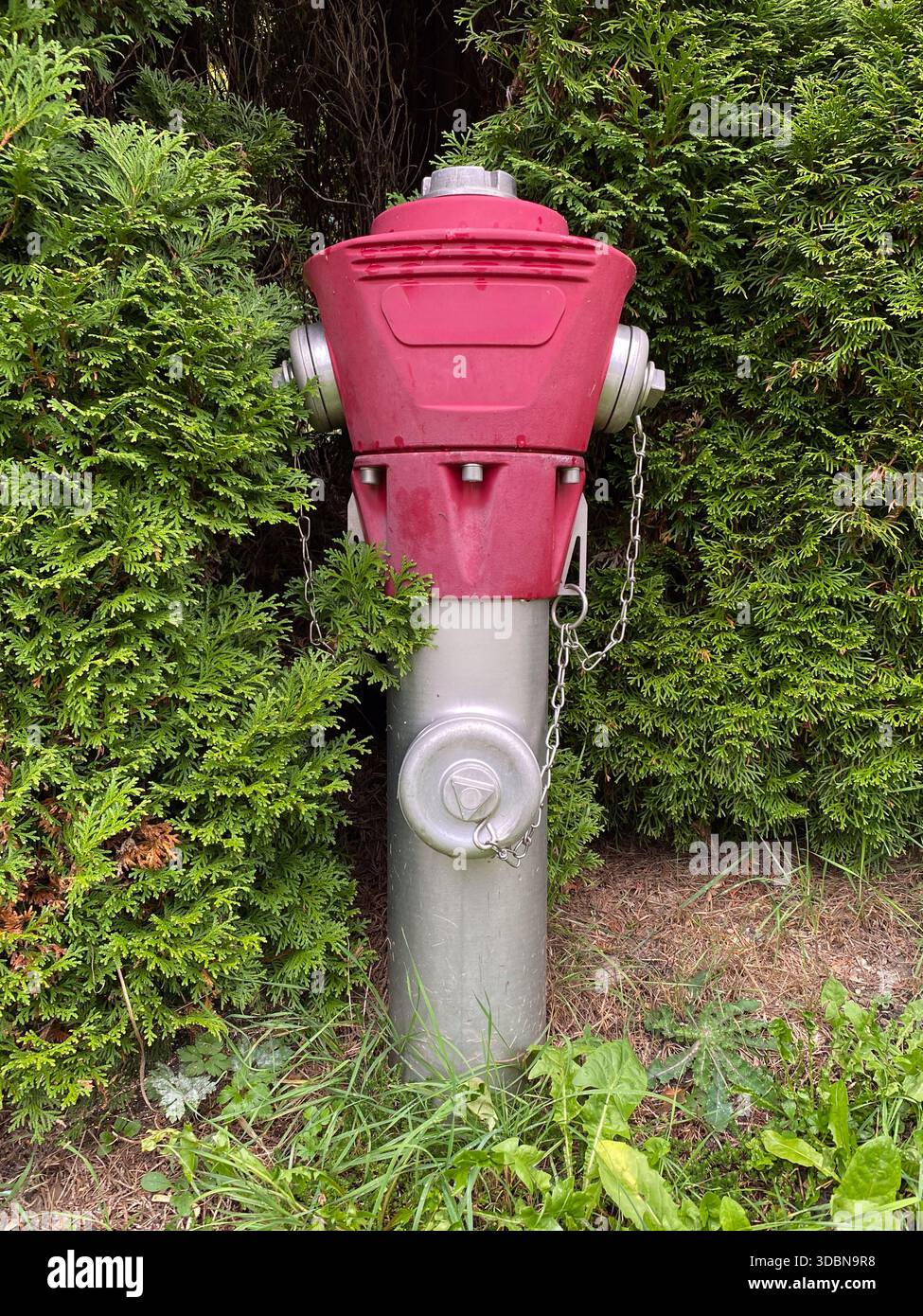 Utility pipe above ground hi-res stock photography and images - Alamy