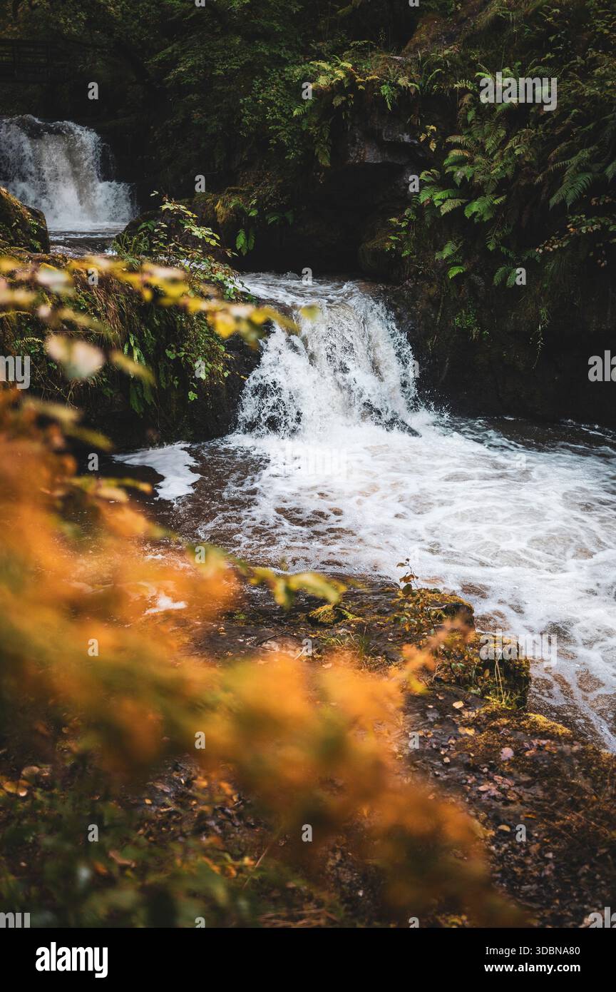 Sychryd waterfalls boiling pool pwll berw hi-res stock photography and ...