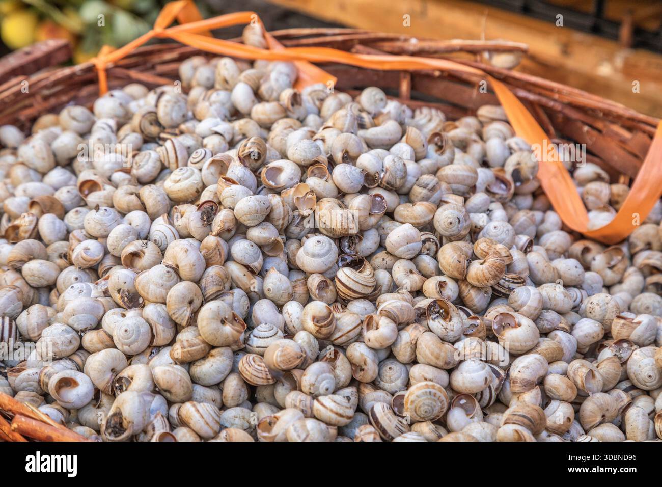 Basket of snails, locally known as babbaluci, for sale at the ...