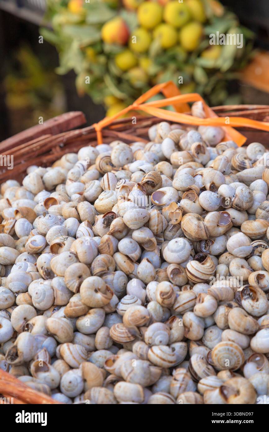 Basket of snails, locally known as babbaluci, for sale at the ...