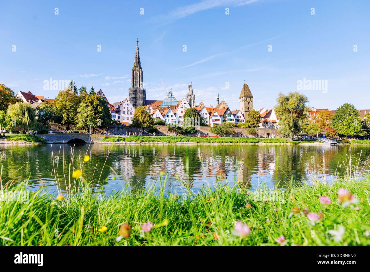 View over the Danube to the Danube Swabian bank with Danube meadow ...