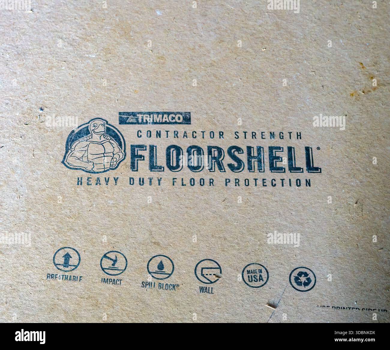 Floorshell hi-res stock photography and images - Alamy