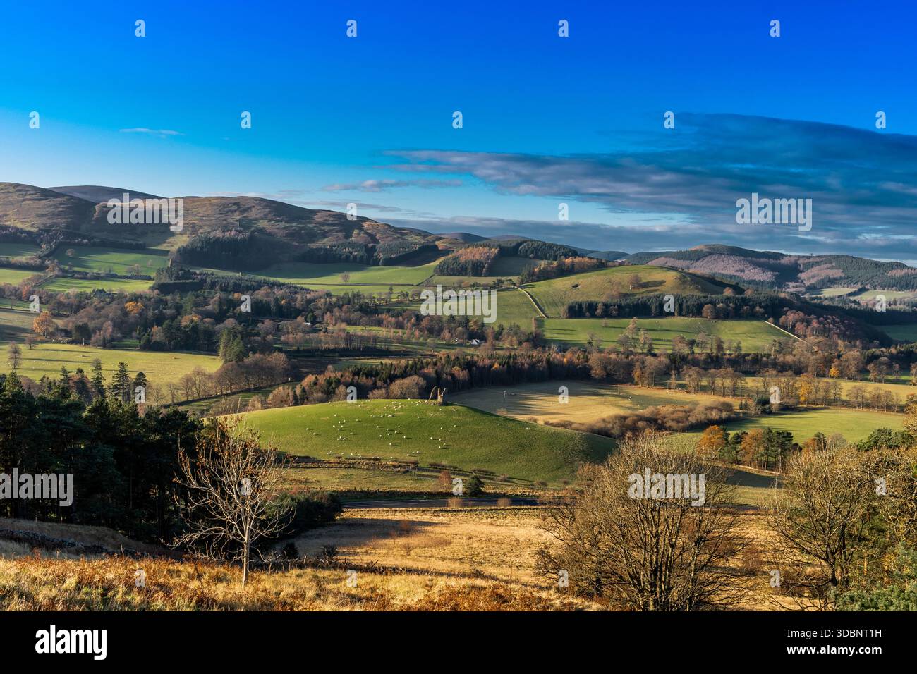 Horsburgh castle hi-res stock photography and images - Alamy