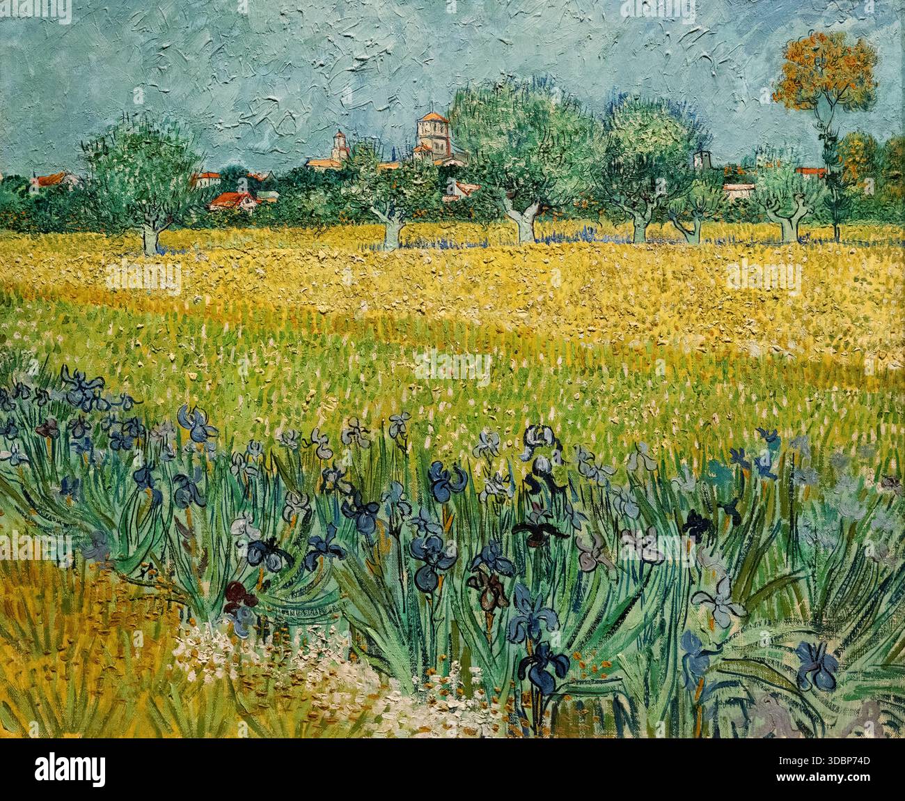 Van gogh field with irises near arles hi-res stock photography and ...