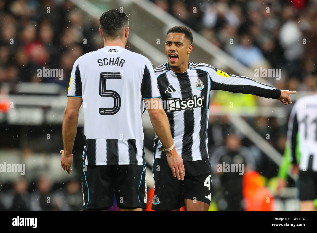 Jacob Ramsey Of Newcastle United gestures to Fabian Schär Of Newcastle ...