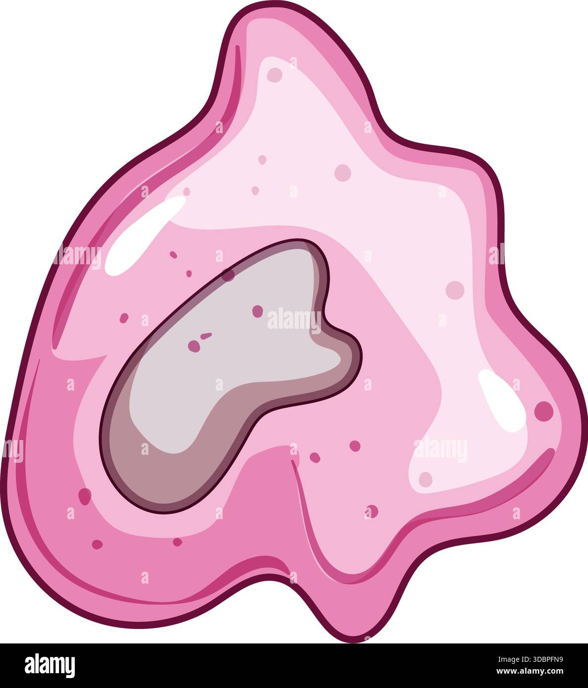 Phagocyte and microbe Stock Vector Images - Alamy