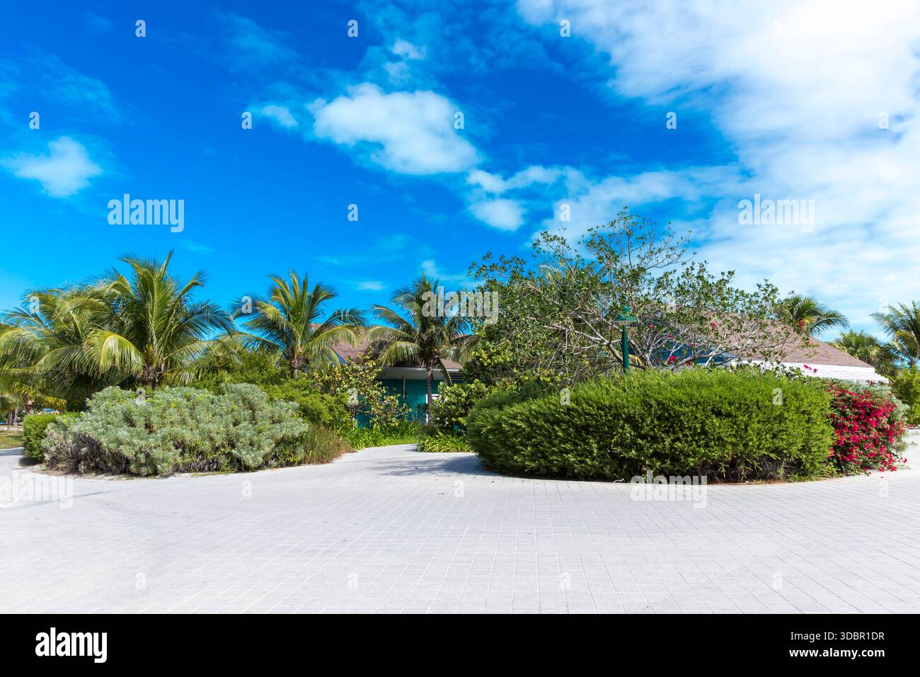 Vegetation, private island Ocean Cay of the cruise line MSC Cruises ...