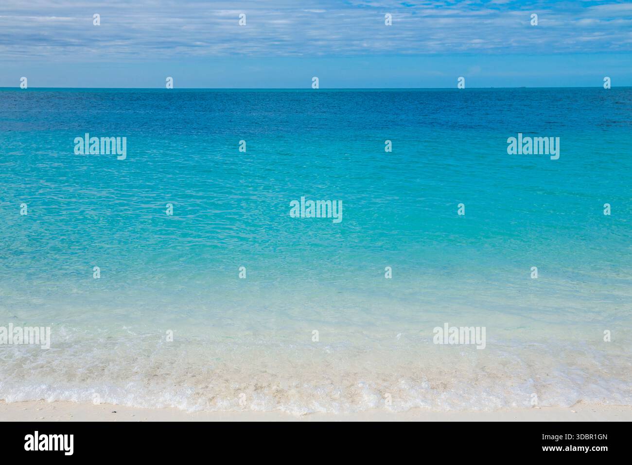 White sand and turquoise blue sea, Bimini Beach, private island Ocean ...