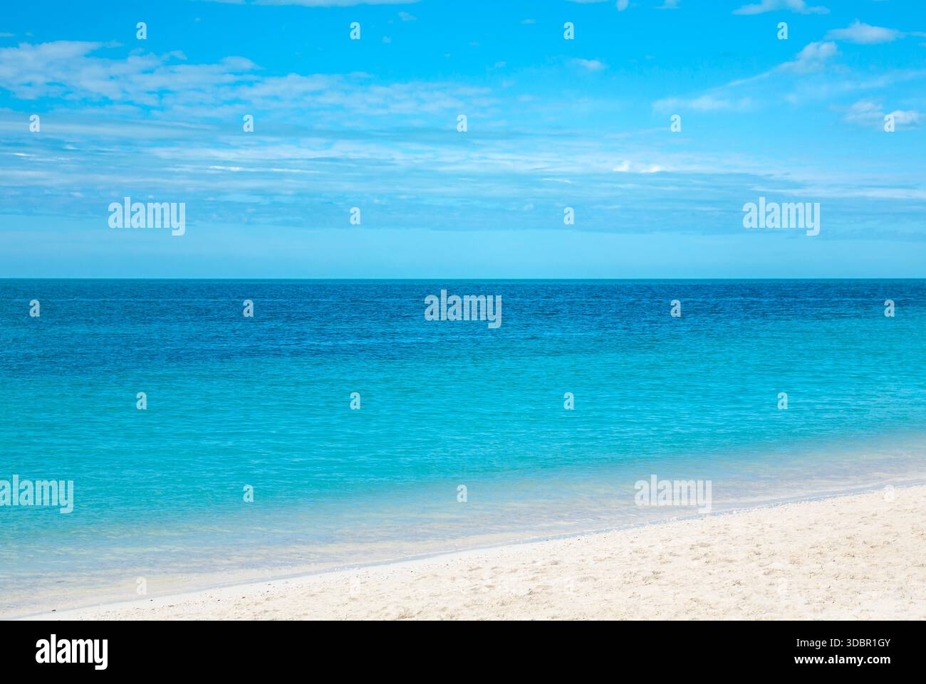 White sand and turquoise blue sea, Bimini Beach, private island Ocean ...