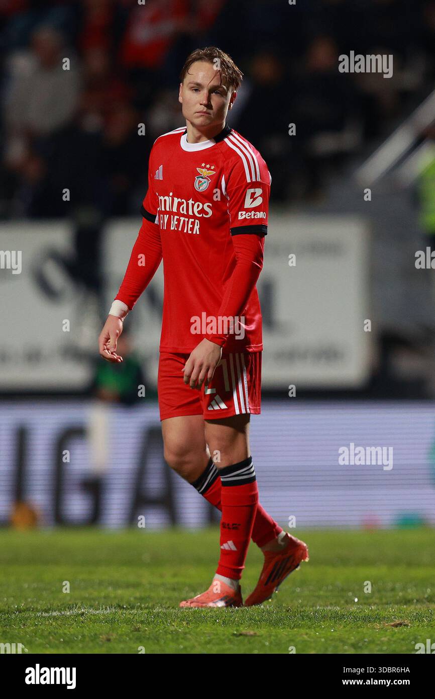 Faro, 17/12/26 - Farense hosted Benfica at stadium Estádio São Luis in ...