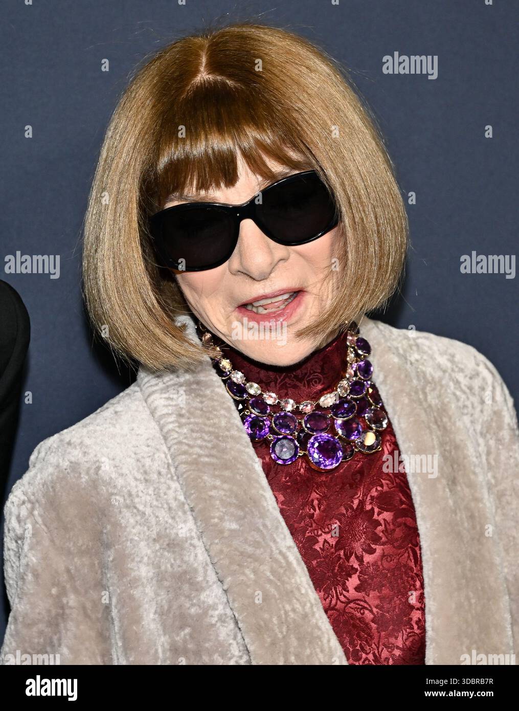 Anna Wintour attends the premiere of "Marty Supreme" at Regal Times ...
