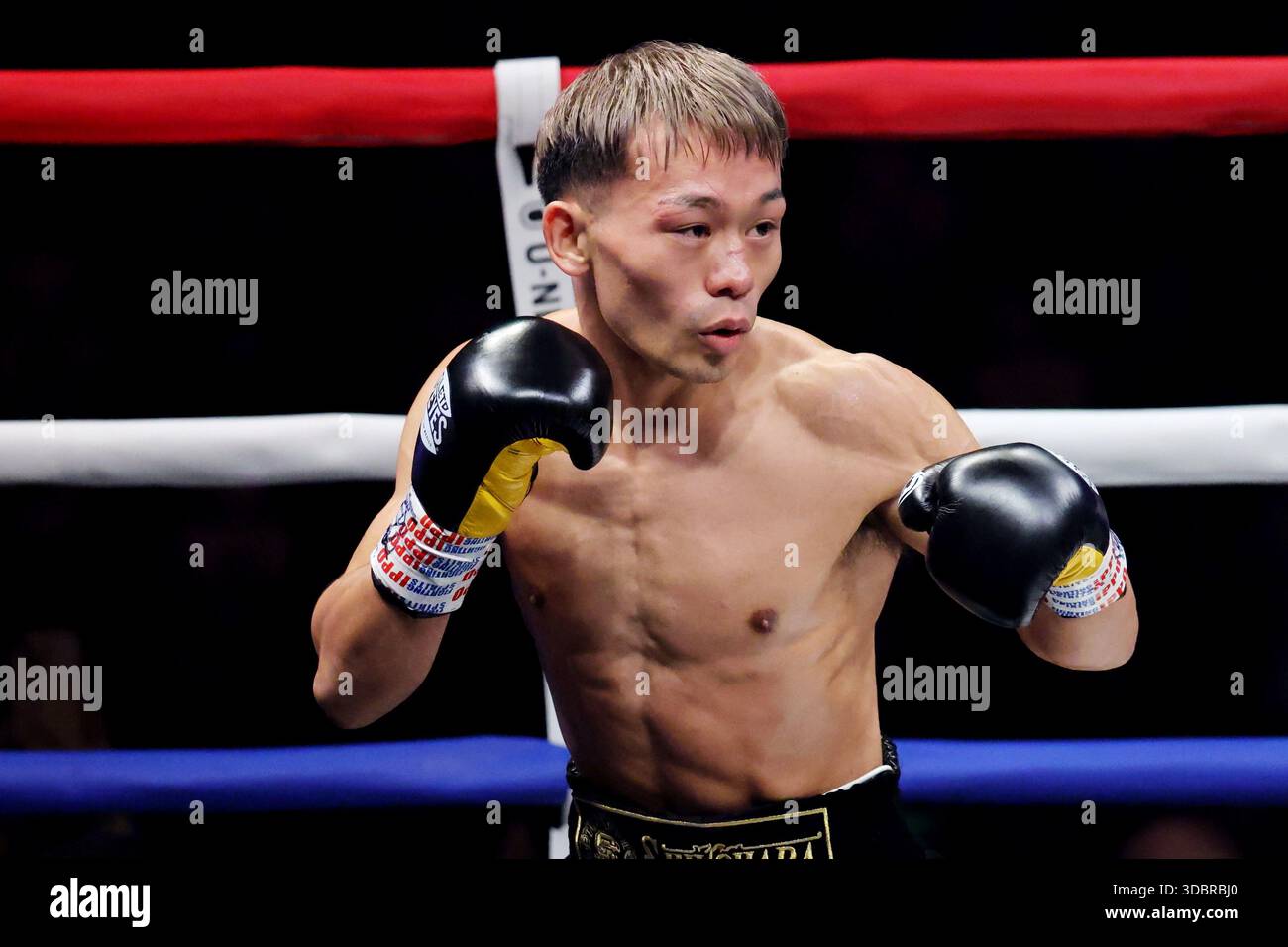 Seiya Tsutsumi (JPN), DECEMBER 17, 2025 - Boxing : WBA world ...