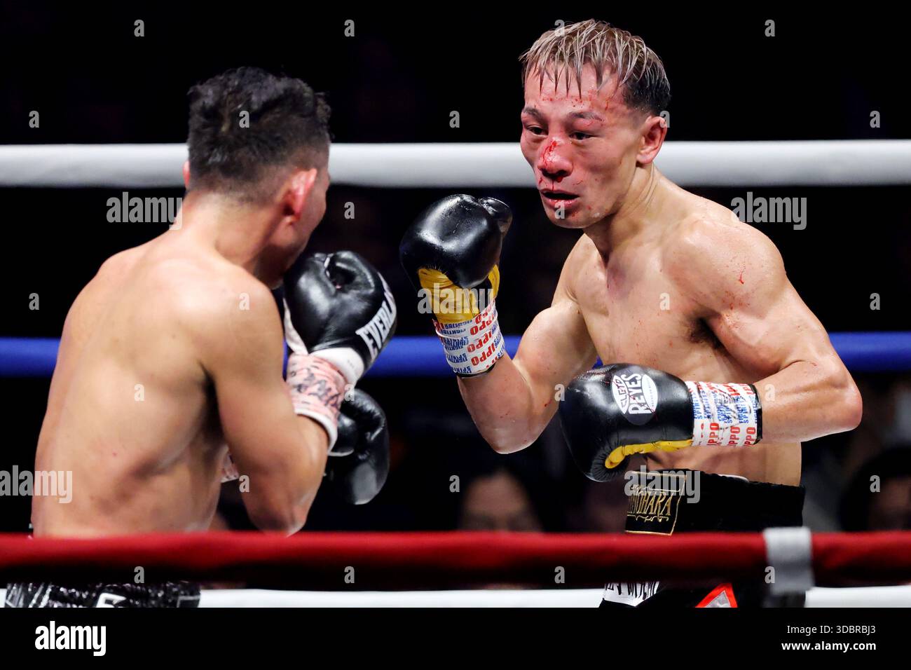 (L-R) Nonito Donaire (PHI), Seiya Tsutsumi (JPN), DECEMBER 17, 2025 ...