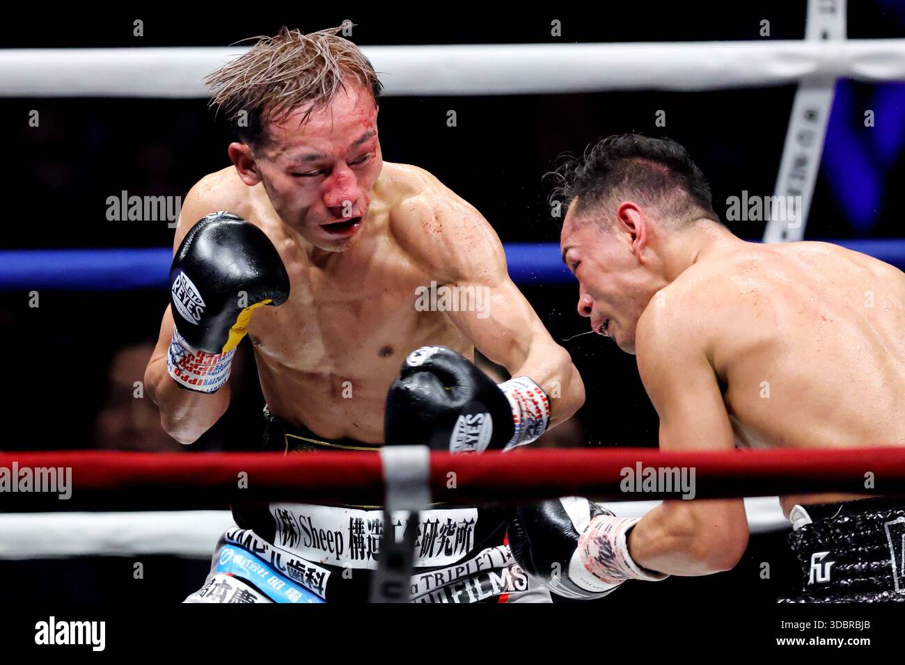(L-R) Seiya Tsutsumi (JPN), Nonito Donaire (PHI), DECEMBER 17, 2025 ...