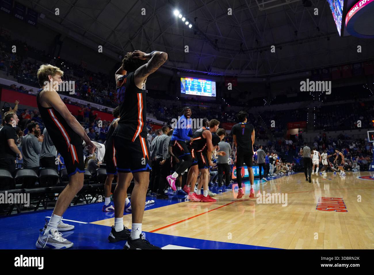 Florida players cheer as Olivier Rioux dunks the ball on Saint Francis ...