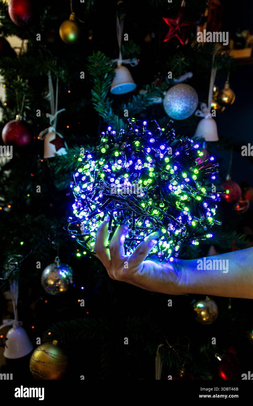 holding christmas lights in front of decorated tree Stock Photo - Alamy