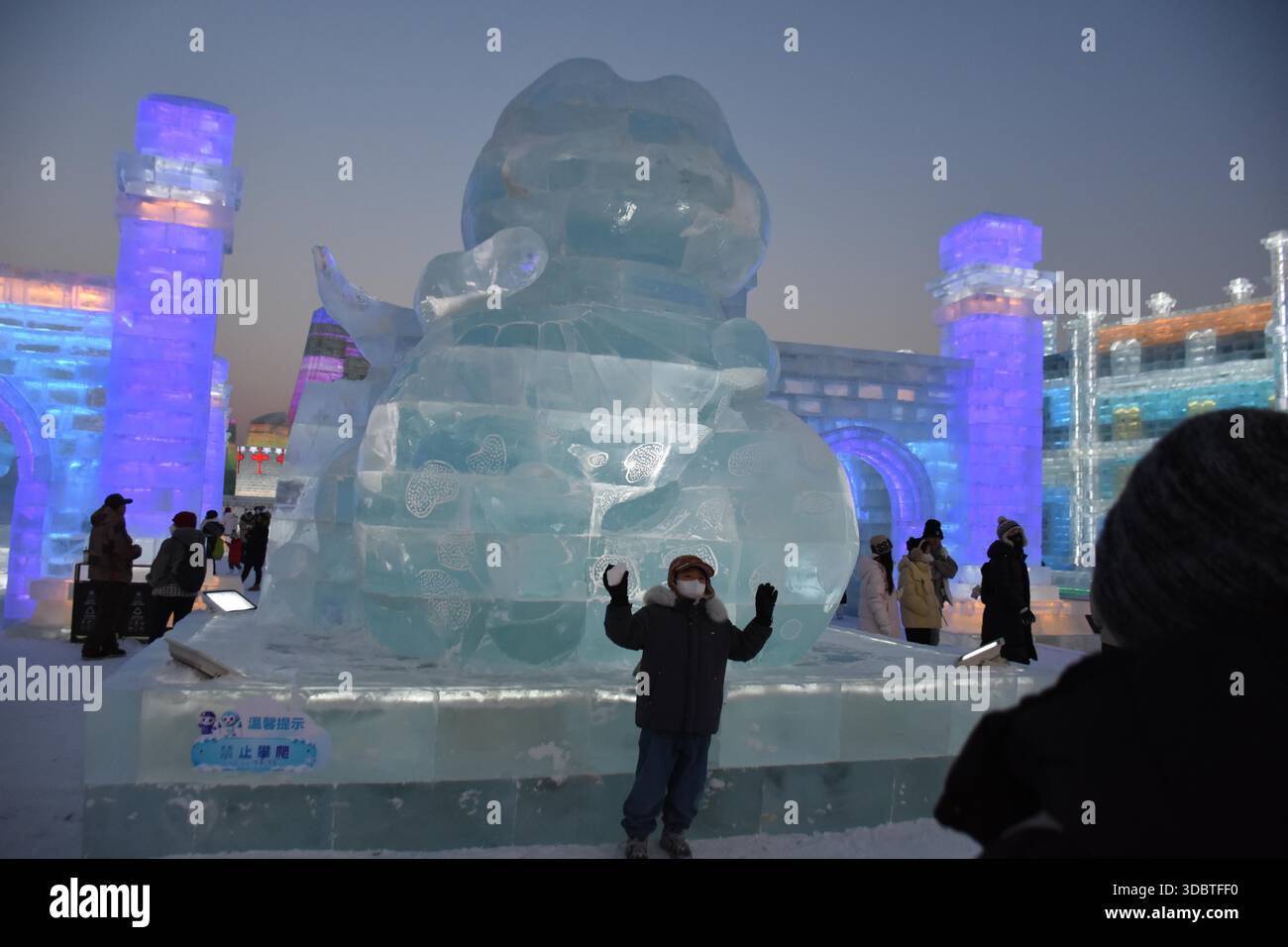 Zodiac ice sculptures attract visitors at the 27th Harbin Ice-Snow ...