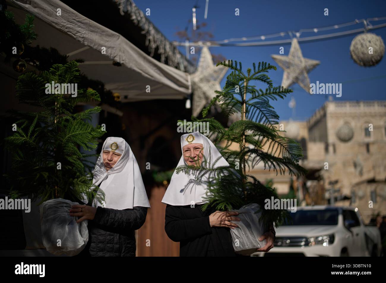 Orthodox Christians nuns carry Christmas trees after receiving them ...